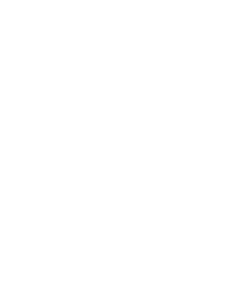 Business Consultancy & Coaching - Sarah Negus